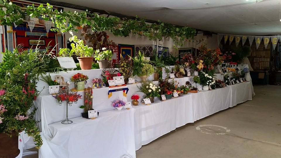 Adelong P&A Society – The Adelong Show