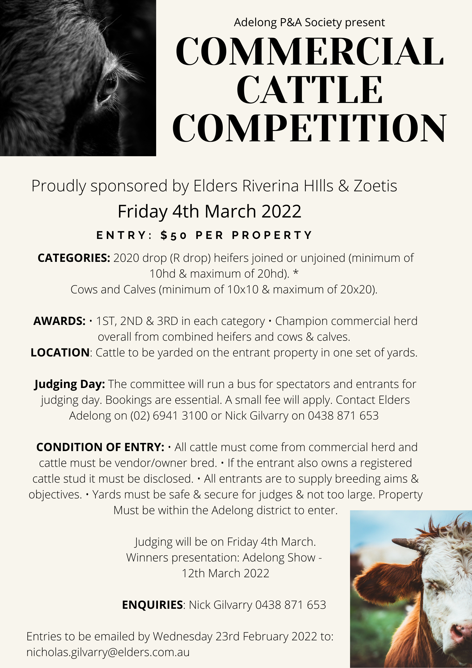 commercial-cattle-competition – Adelong P&A Society